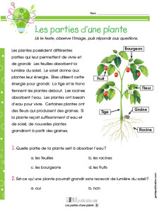 Géniepublication | Catalogue | Les parties d'une plante