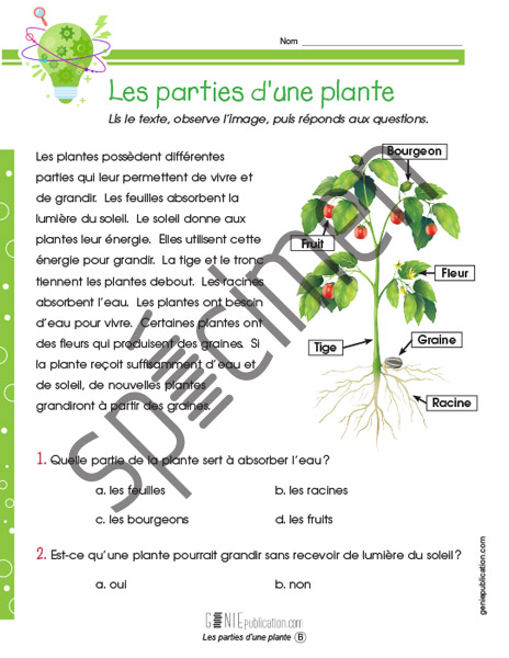 Géniepublication | Catalogue | Les parties d'une plante
