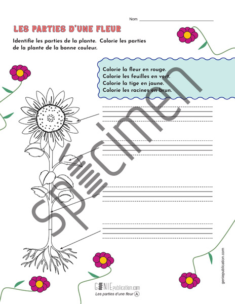 Géniepublication | Catalogue | Les parties d’une fleur