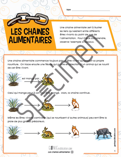Géniepublication | Catalogue | Les chaines alimentaires