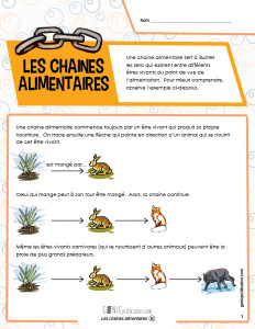Géniepublication | Catalogue | Les chaines alimentaires