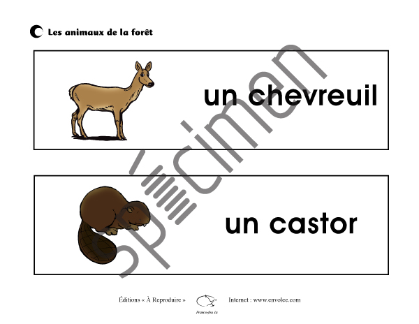 Géniepublication | Catalogue | Affiches des animaux de la forêt