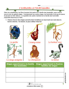 Géniepublication Catalogue L évolution Et L être Humain