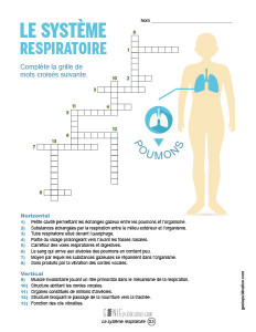 Géniepublication | Catalogue | Le système respiratoire