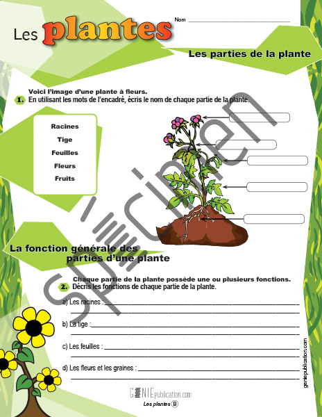 Géniepublication | Catalogue | Les plantes