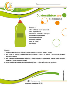 Géniepublication | Catalogue | Du dentifrice pour éléphant